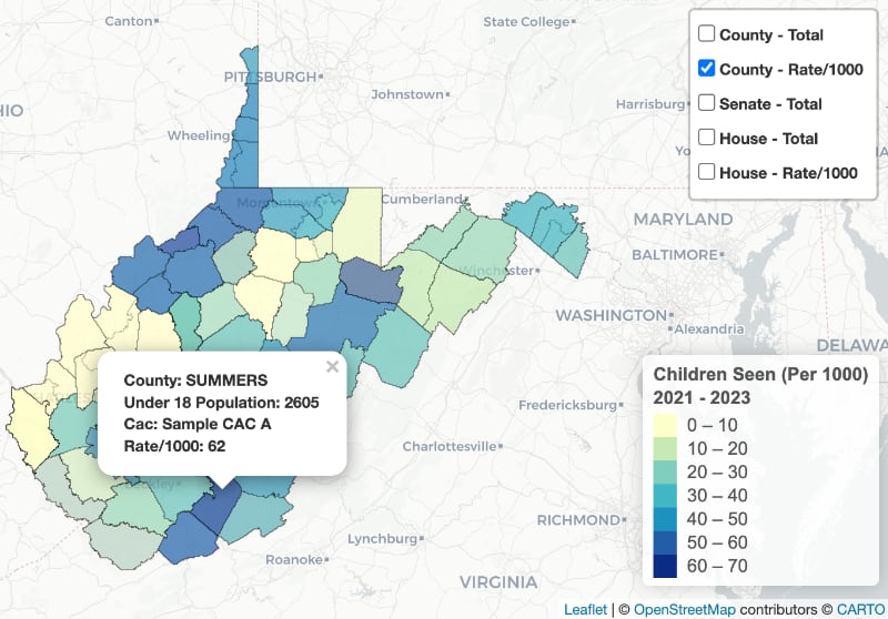 Using Geographic & Census Data to Assess Social Services Coverage